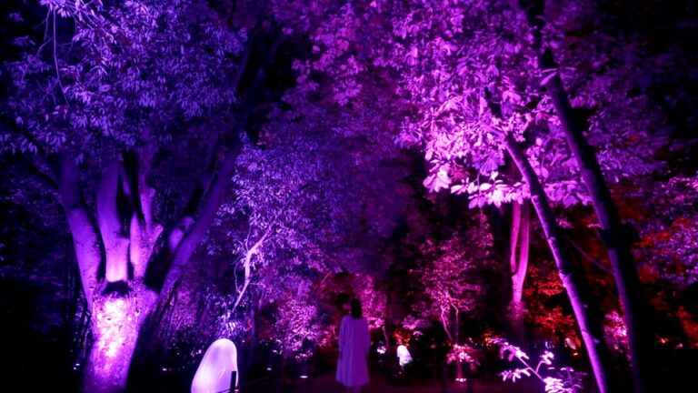 Book Osaka teamLab Botanical Garden Entry Ticket in 2026